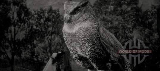 Where to find the owl in Red Dead Redemption 2